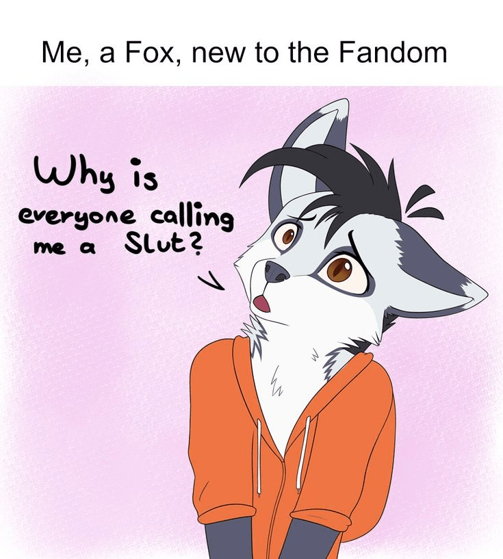 Anti gay meme