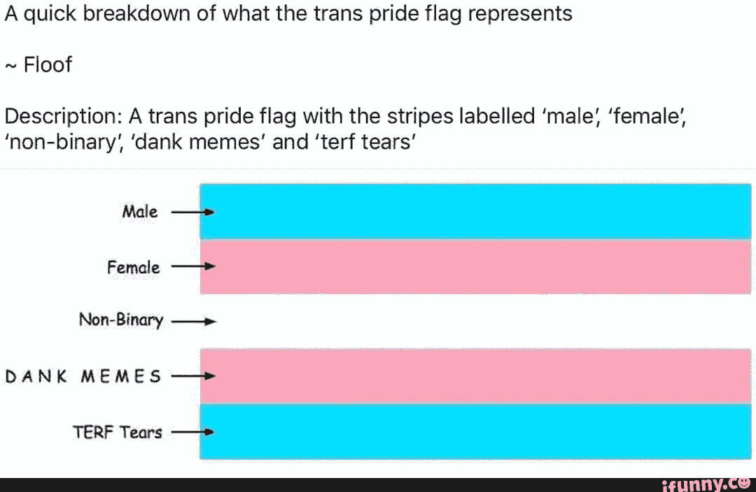 Gay flag meme dank