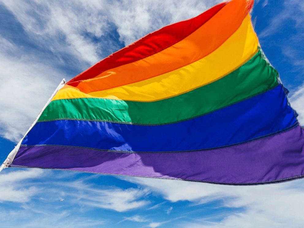 Whats the gay pride colors