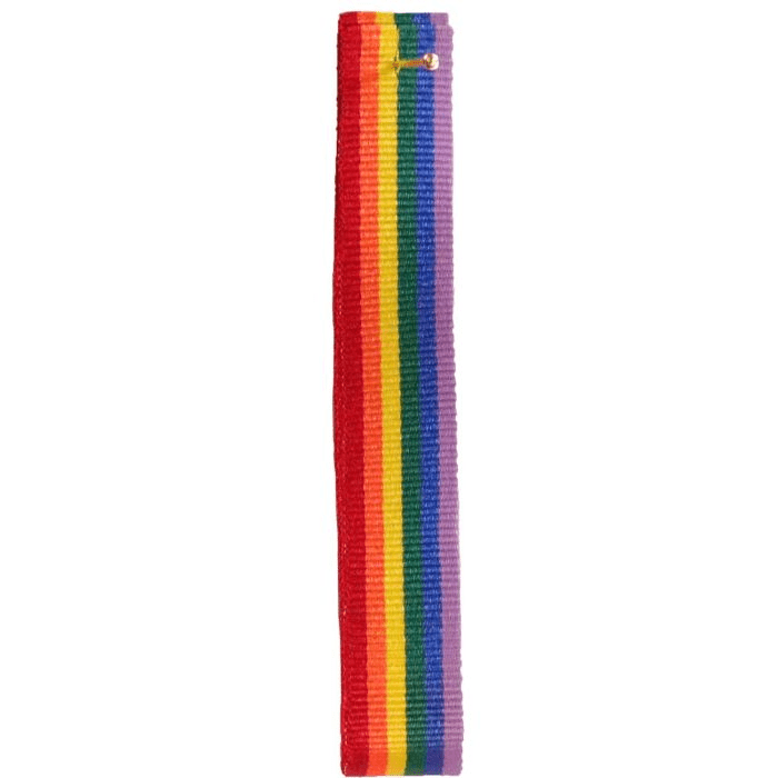 Gay pride rainbow ribbon