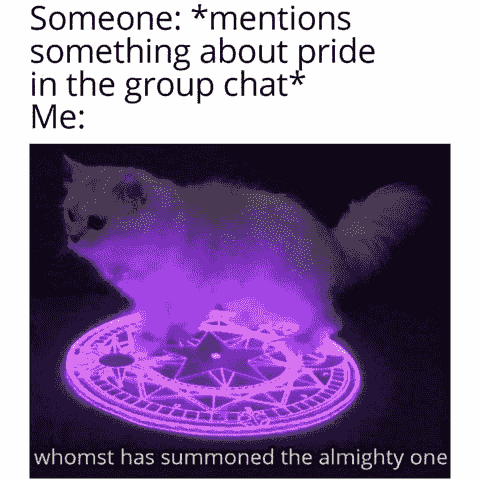 Funny gay memes
