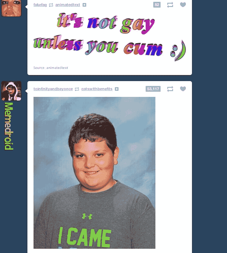Its not gay memes