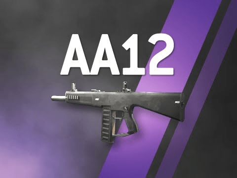 Aa12 call of duty