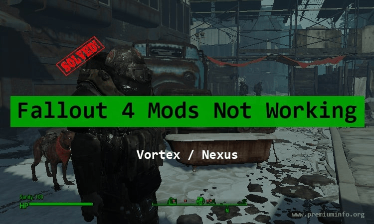 Fallout 4 custom ini not configured