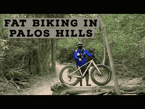 Pedalease big cat fat bike review