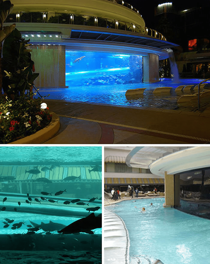 The golden nugget las vegas shark tank