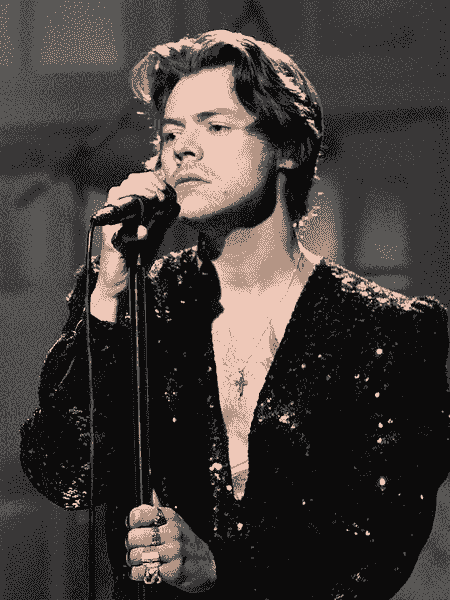 Is harry styles gay 2019