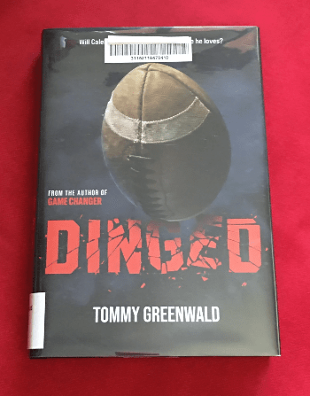 Sports Stories - Holiday Picks