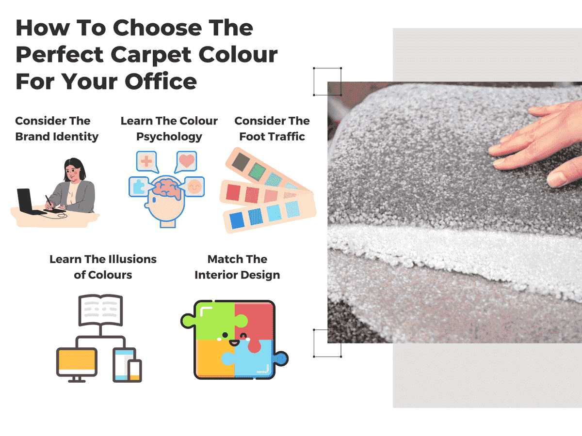 How To Choose The Perfect Carpet Color For Your Office ...