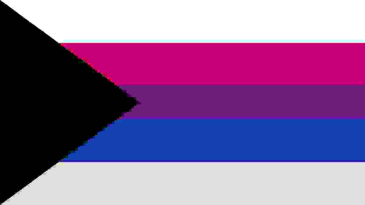 Demisexual Flag: Understanding and Celebrating Demisexu...