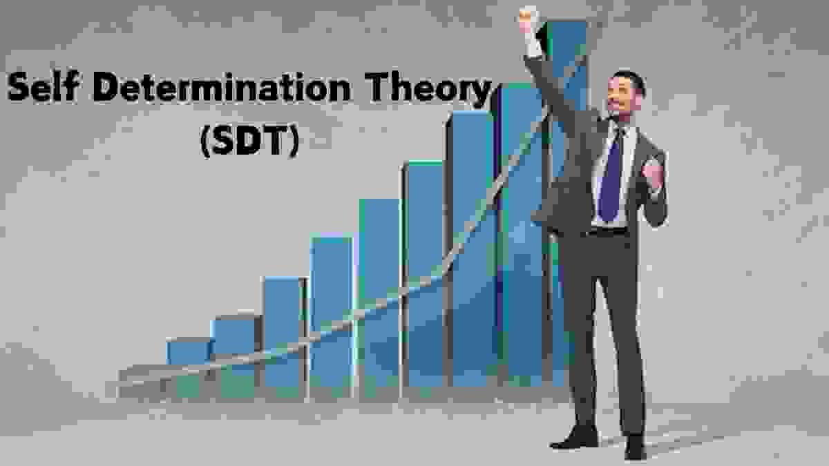 Boosting Motivation: Positive Feedback in Self-Determin...