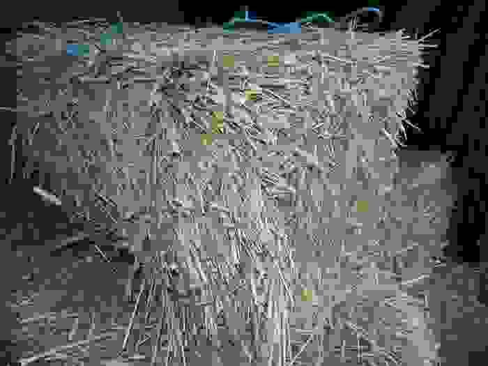 First Cut and Second Cut Hay