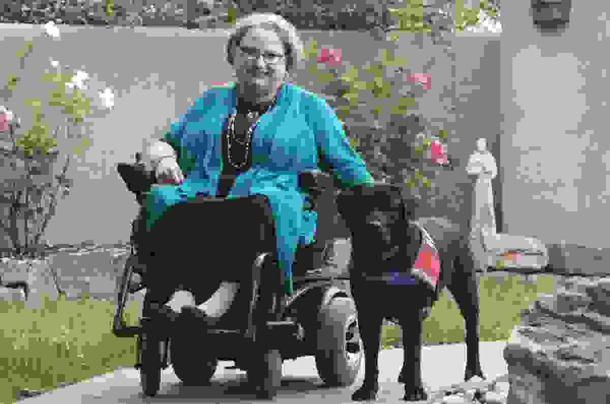 How Do Service Dogs Help People?