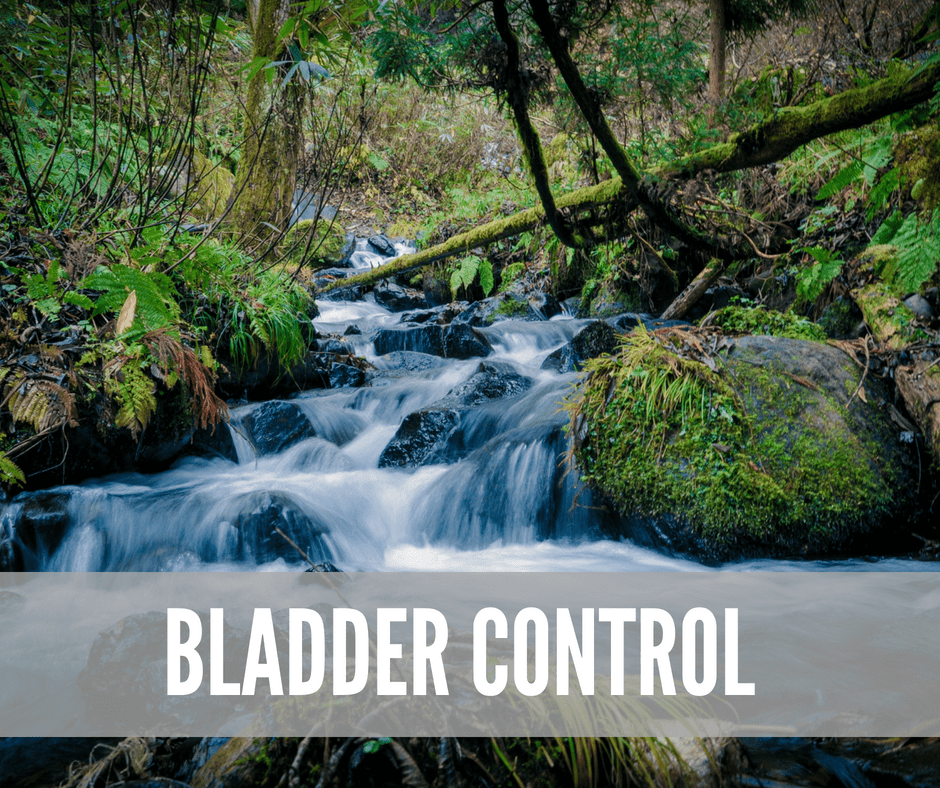 STEP 20 - BLADDER CONTROL