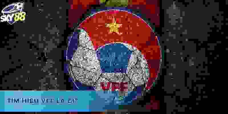 Vai tro cua VFF la gi