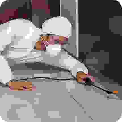 What You Need to Know About Pest Control Darwin Service...