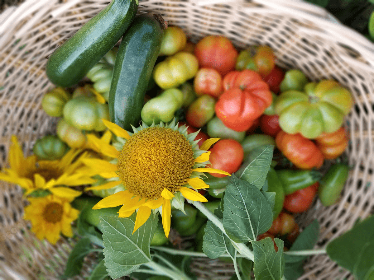 Friday the 13th Farm Report