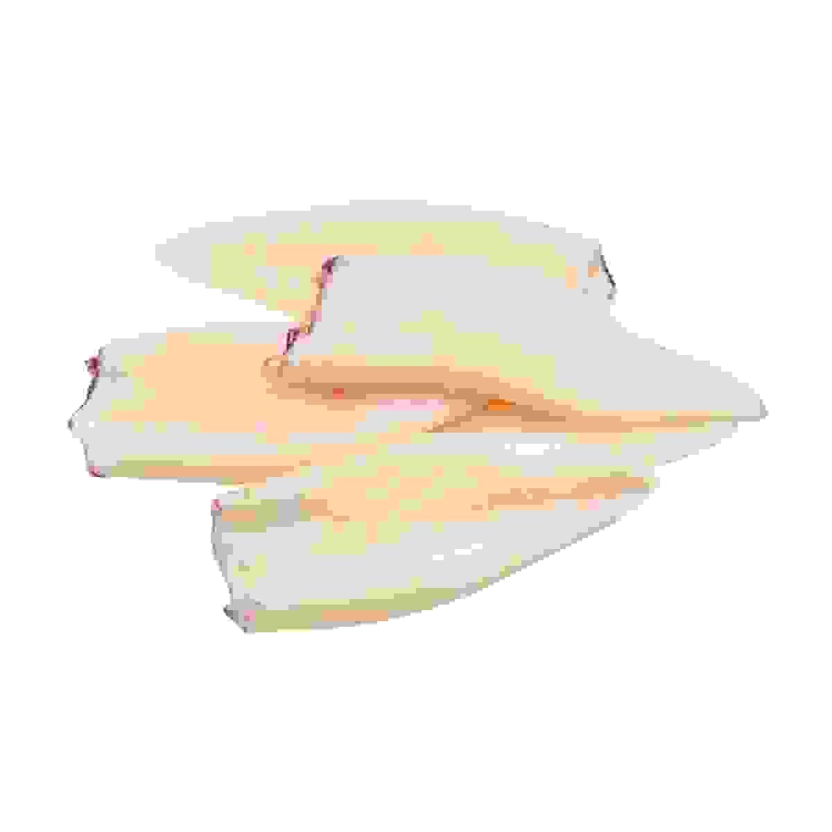 Japanese Sushi Food Wholesale Supplier | Unagi Kabayaki, Frozen Eel ...