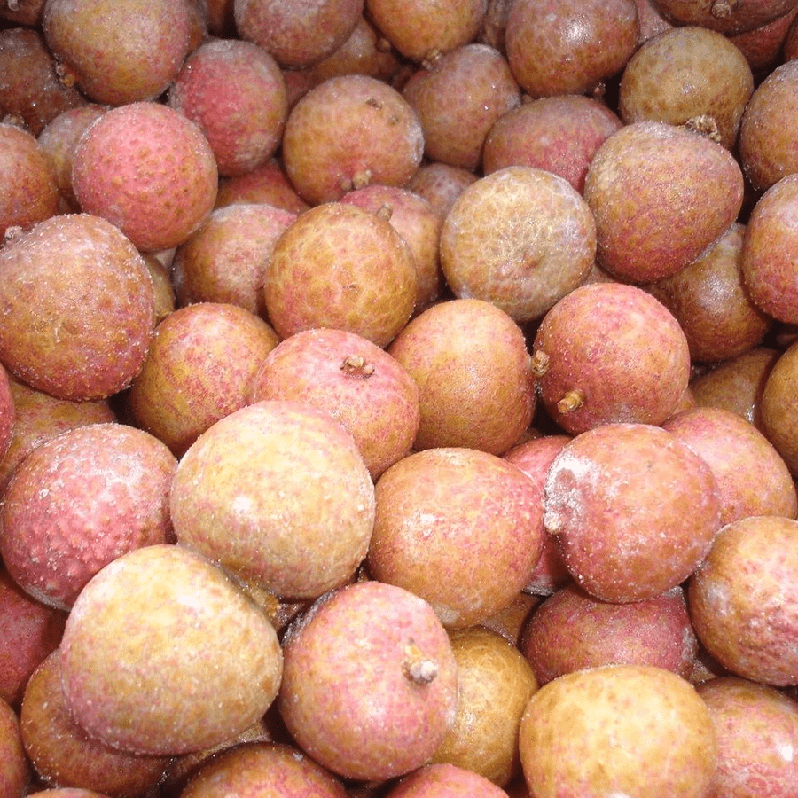 Wholesale IQF Frozen Lychee IQF Frozen Litchi Bulk Supplier | Frozen ...