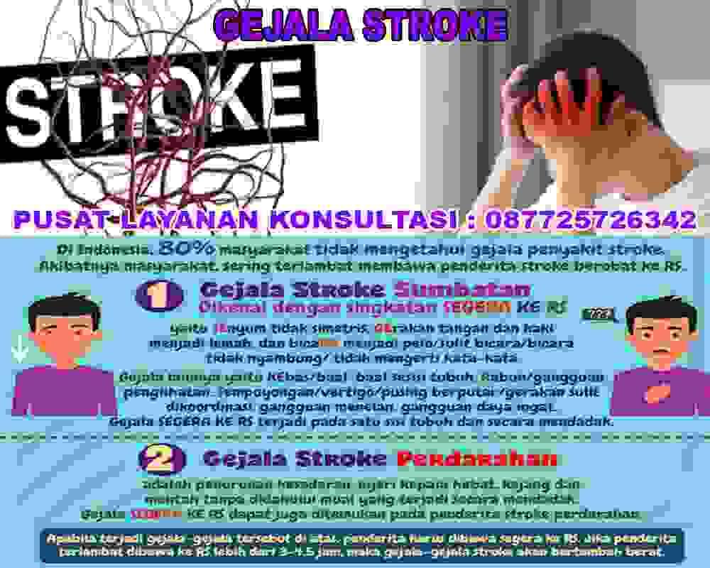 obat stroke herbal centiloss dan morici asli de nature ...