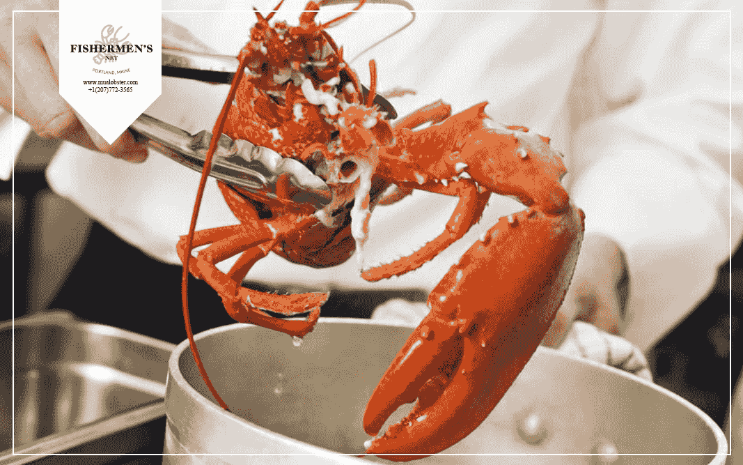 How To Kill A Lobster?