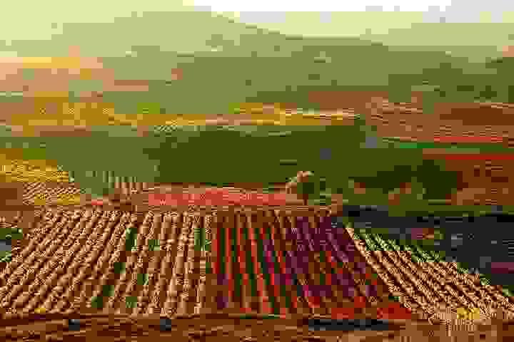 "Featuring the Douro and Rioja Wine Regions" (Collette ...