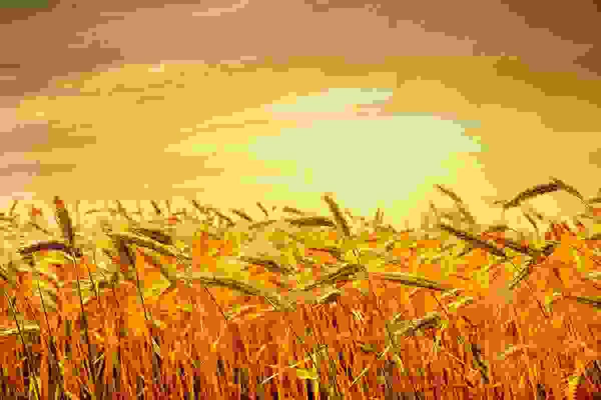 Modalités d'inscription pour le cursus en AI-CNV du Centre pour la ...