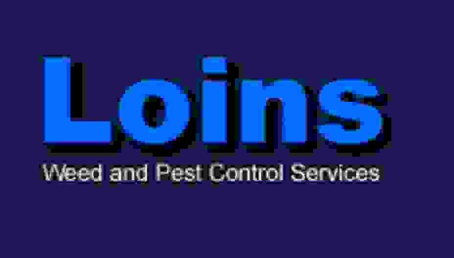 The advantages of Pest Control Services