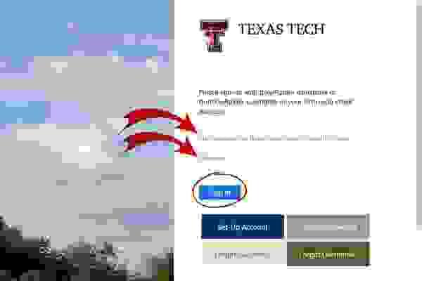 TTU Blackboard Login Online Portal | Texas Tech Univers...