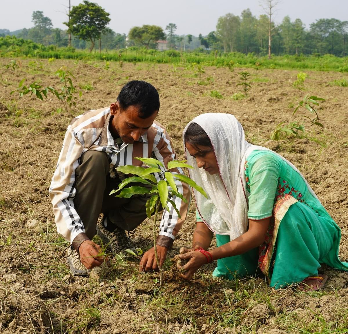Planting for Life