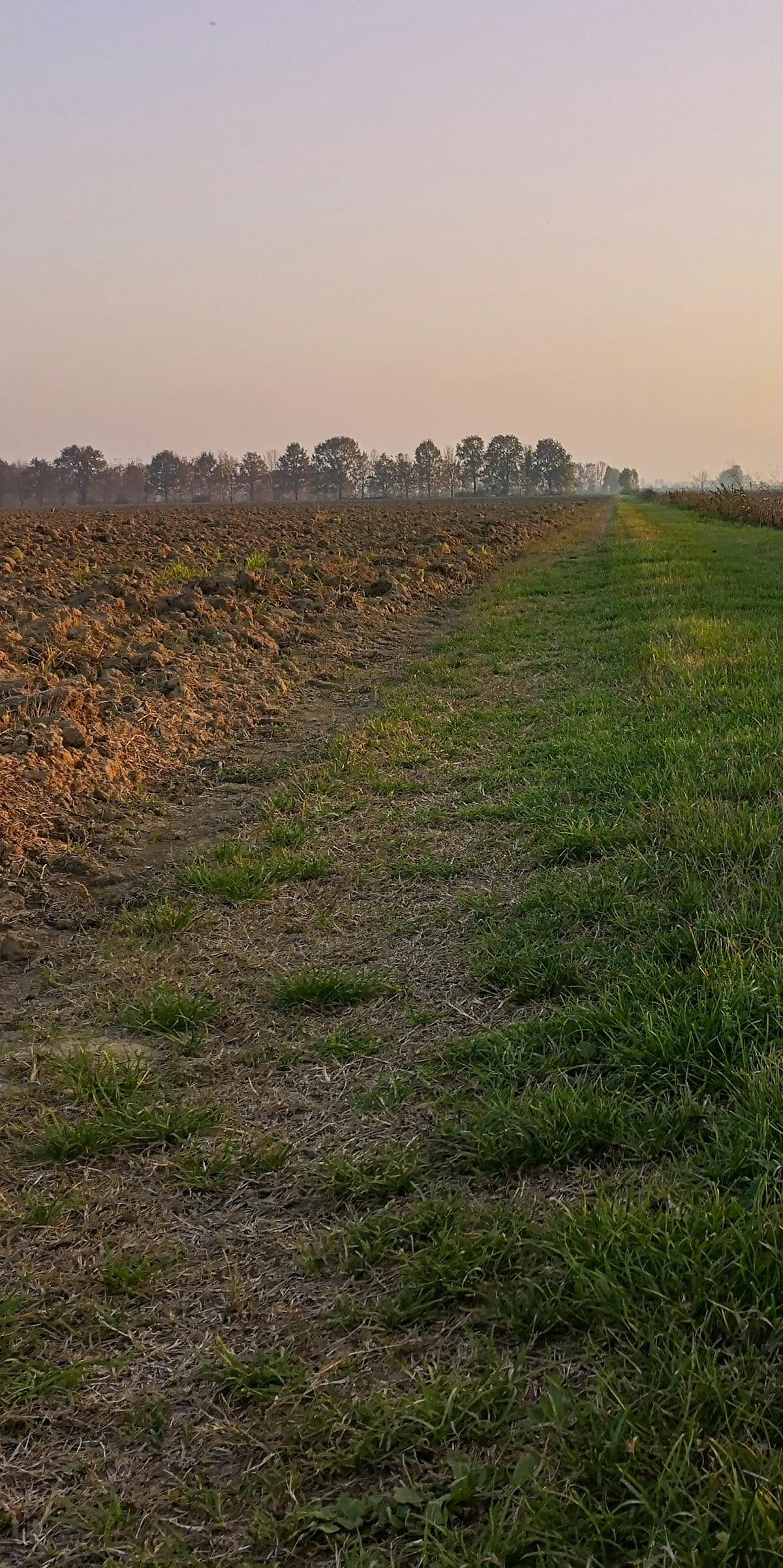 What is the Best Wireless Electric Fences for Large Dog...