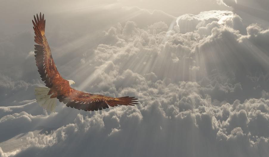 Visions of Eagles - Watchman
