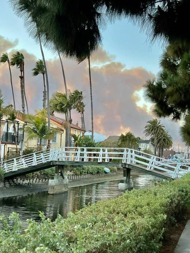 The Ecology of Fire - BEST OF THE REST