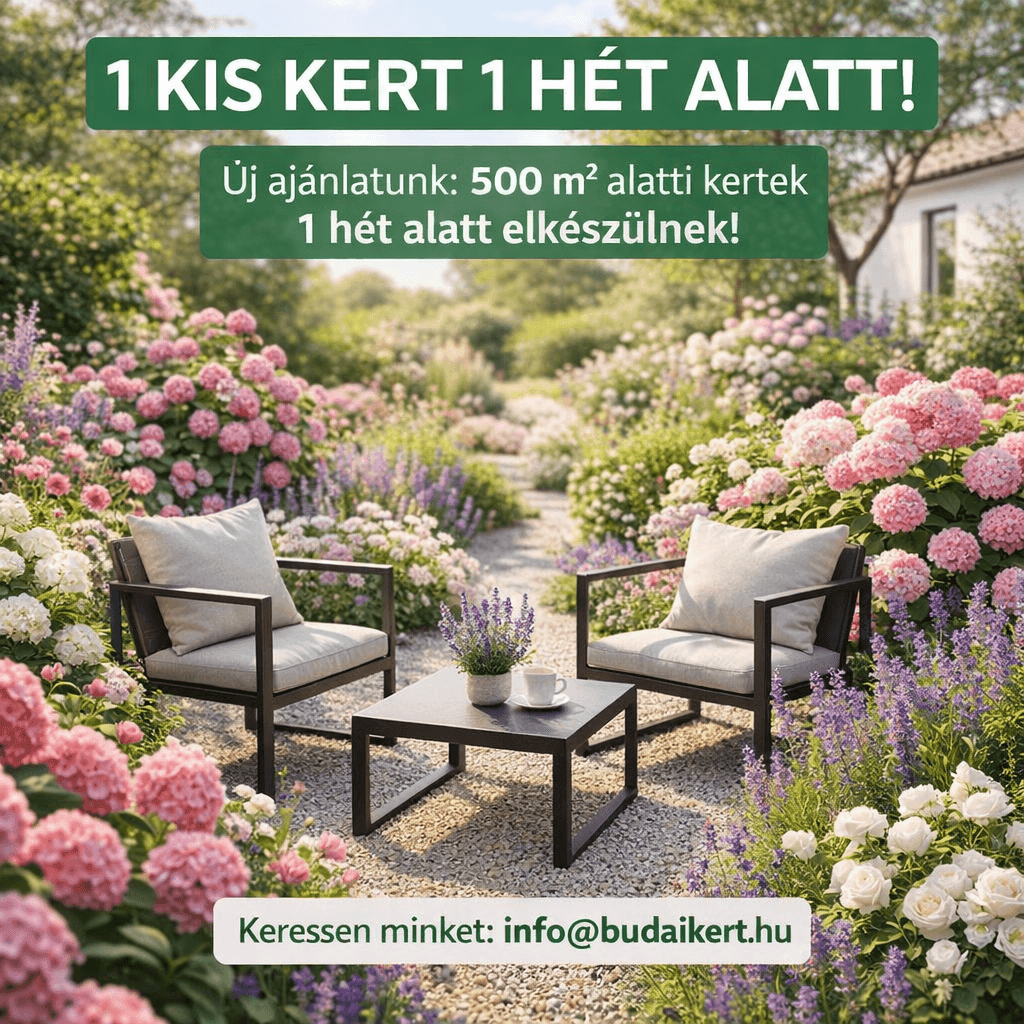 Kis kert 1 hét alatt - Kert
