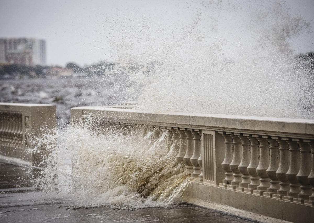 Hurricane Clean-Up: Why It's Crucial for Your Landscape...