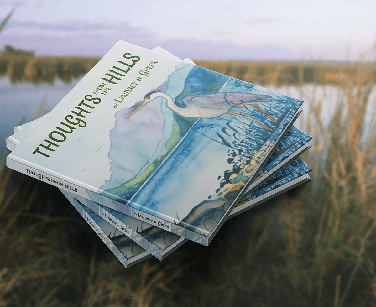 From Inspiration to Publication: Lyndsey H Greer’s Jour...