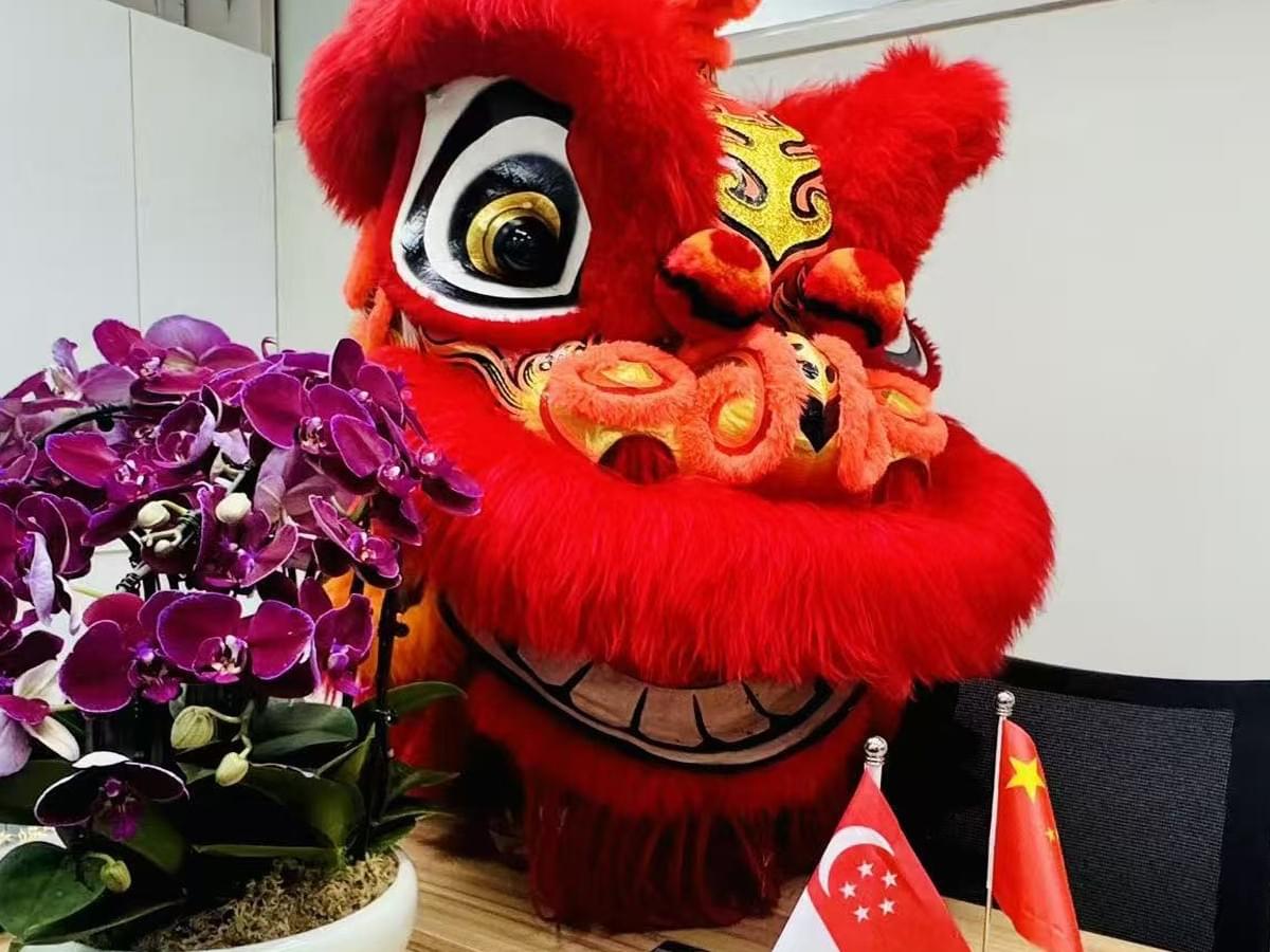 NSO Opens New Singapore Office at the German Centre: A ...