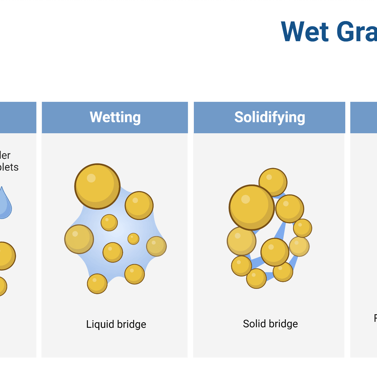 what is the granulation? - granulator