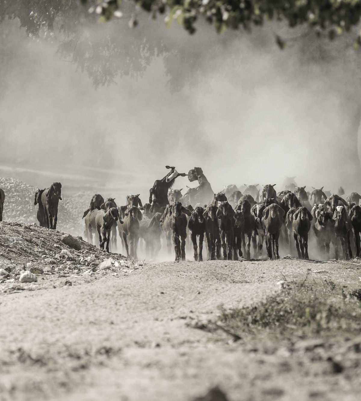 Exasperated Challenges for International Assistance - U...