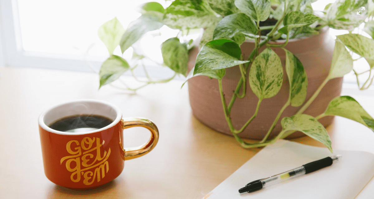 How to have an amazing week