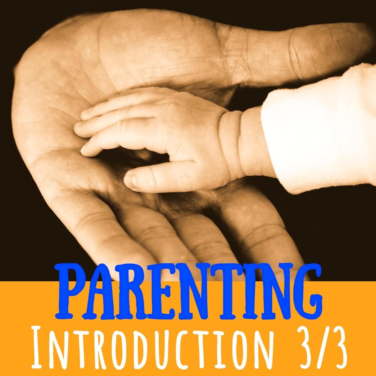 Parenting Introduction Part 3/3
