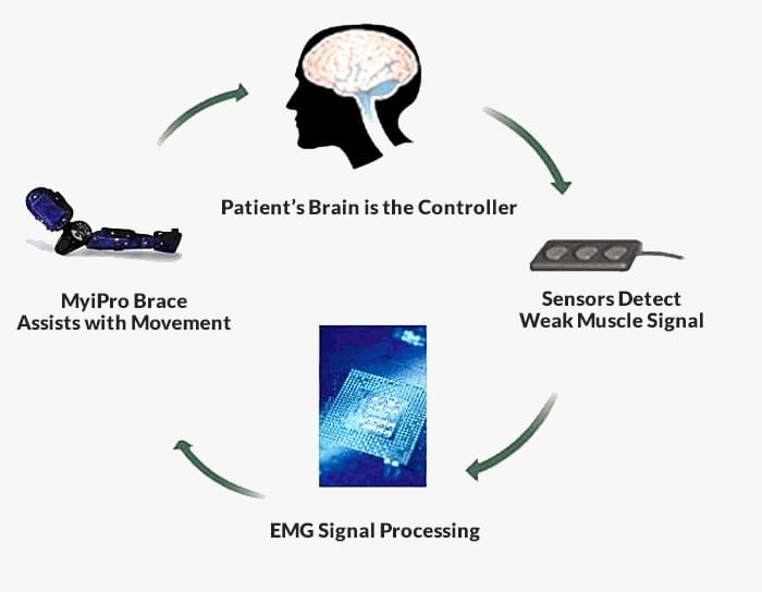NeuroMuscular Orthotics