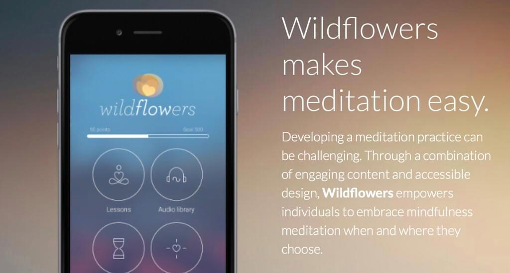 Mobio Interactive Launches Meditation App with Scientif...