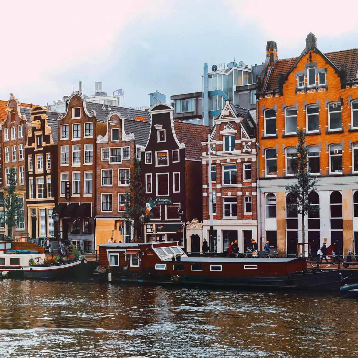 Growy | Next-Level Farm