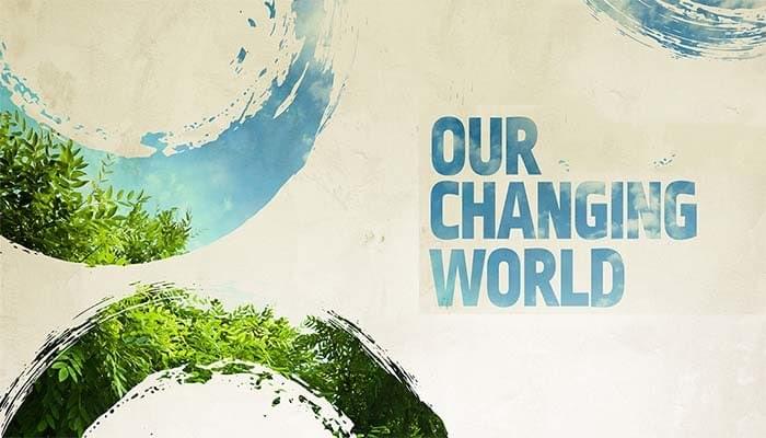 7 Painful Mistakes to Avoid When Changing the World - C...