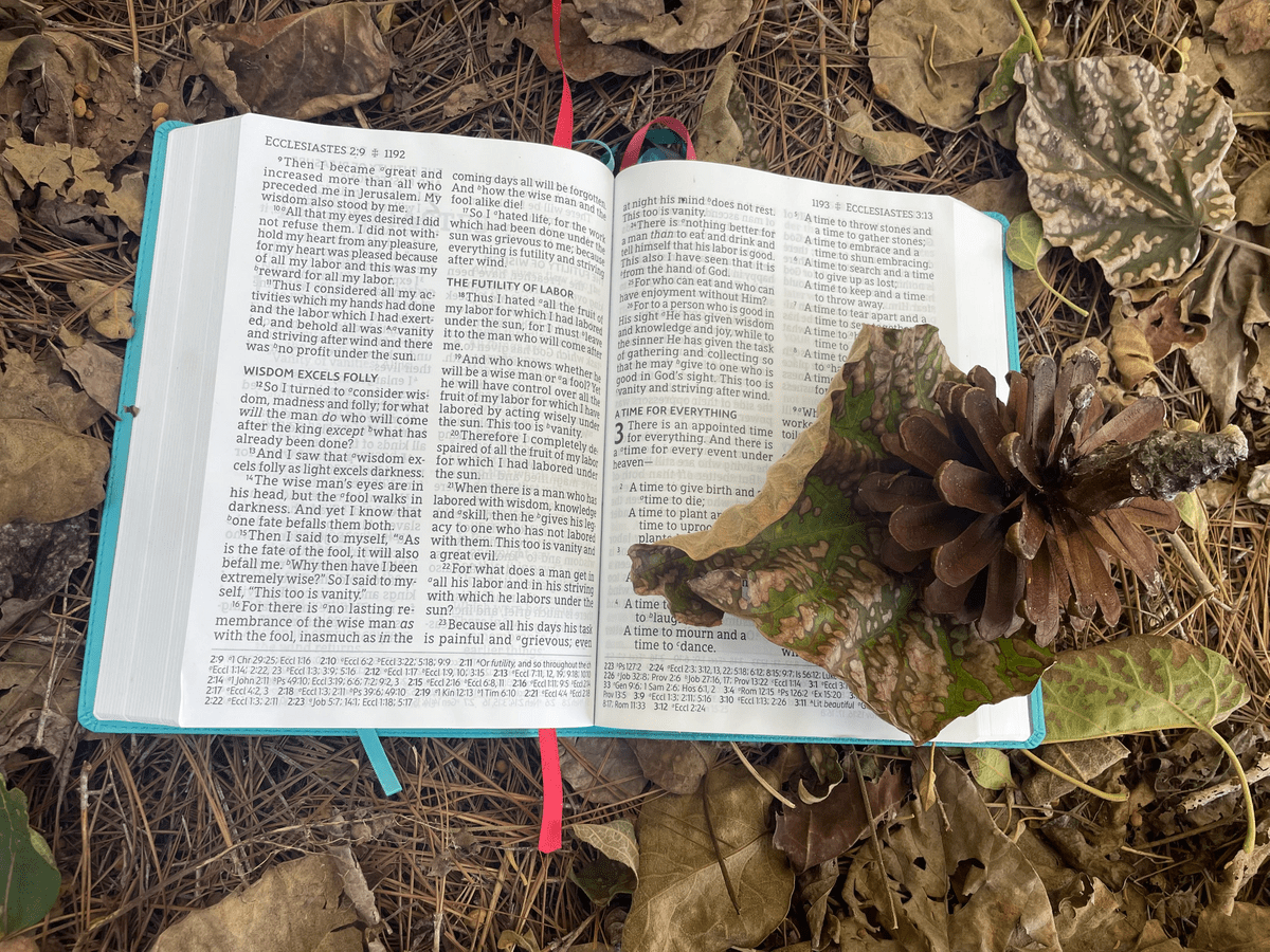 Embracing the Beauty of Autumn - Devotional Discoveries