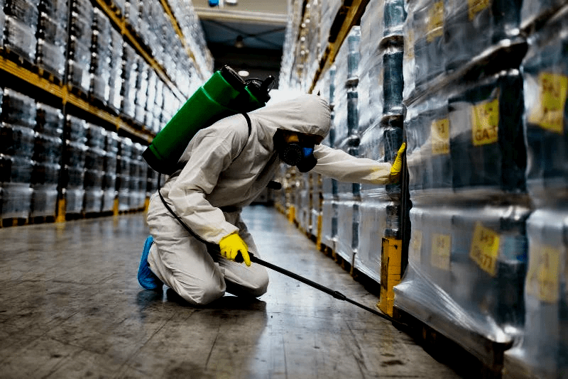 What are The Best Eco-friendly Pest Eradication Methods...