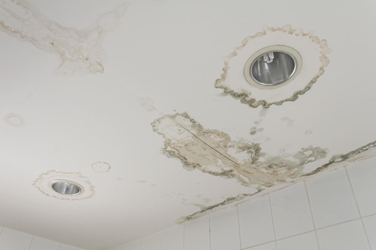 Dealing With a Damp Ceiling That Shows Water Is Leaking...