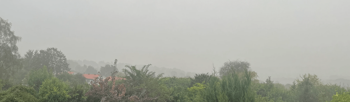 A Miserable Morning!