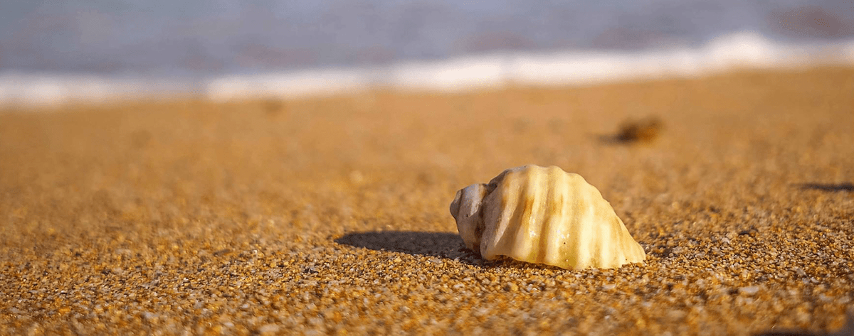 Tips on how to relax and de-stress. - advice Relax Life...